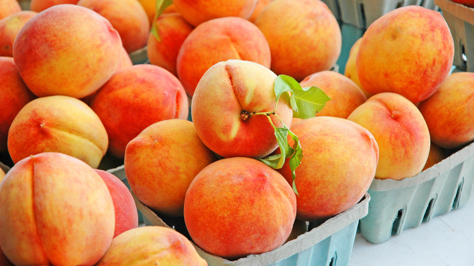 The Roundabout Way State Foods Get The Official Nod