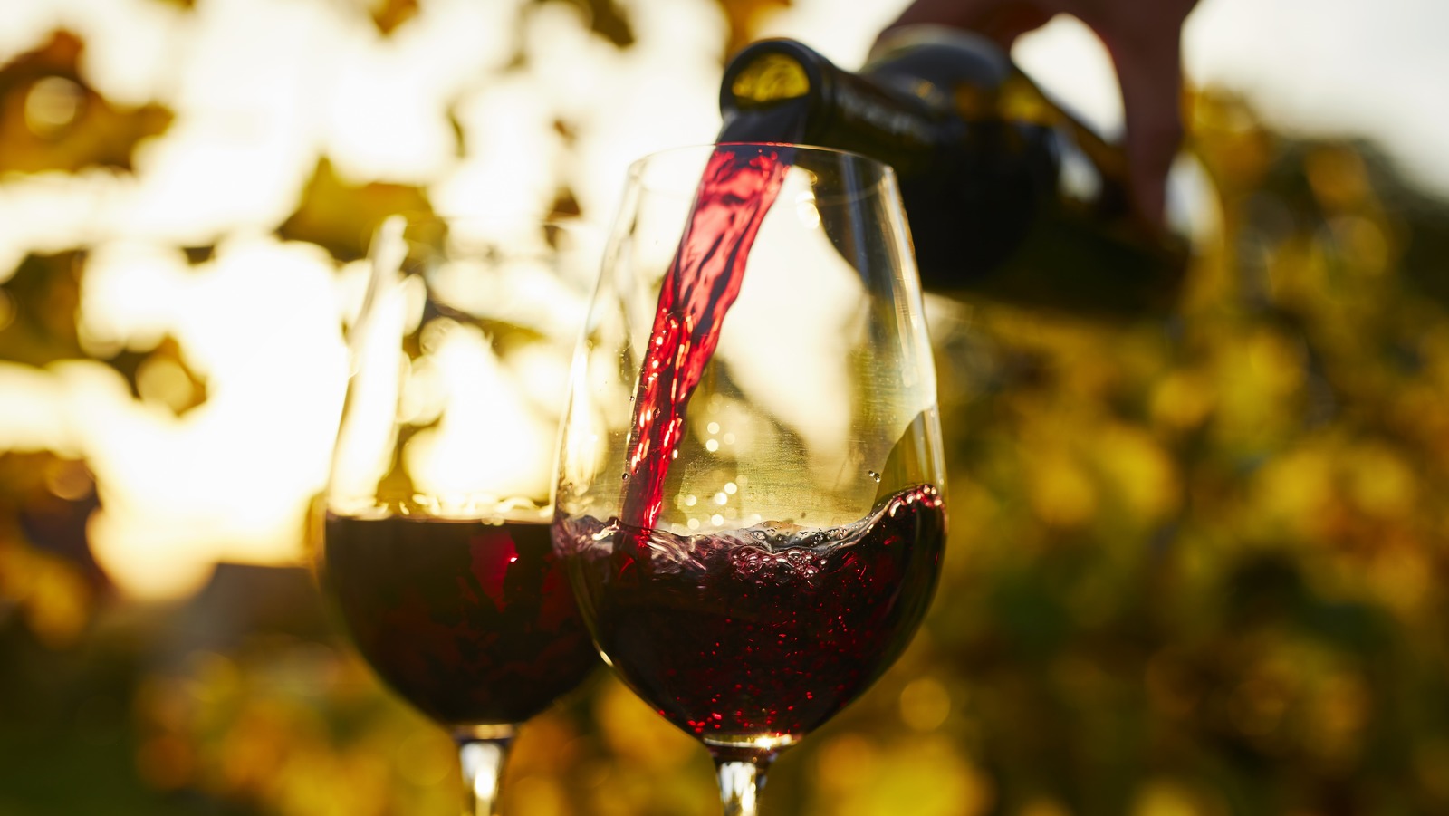 Why Do Chilled Red Wines Taste So Fruity? (There's A Reason)