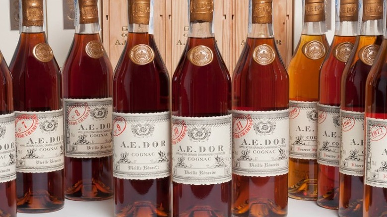 18 Best Cognac Brands, Ranked