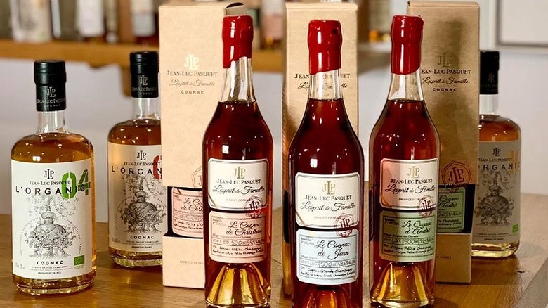 18 Best Cognac Brands, Ranked