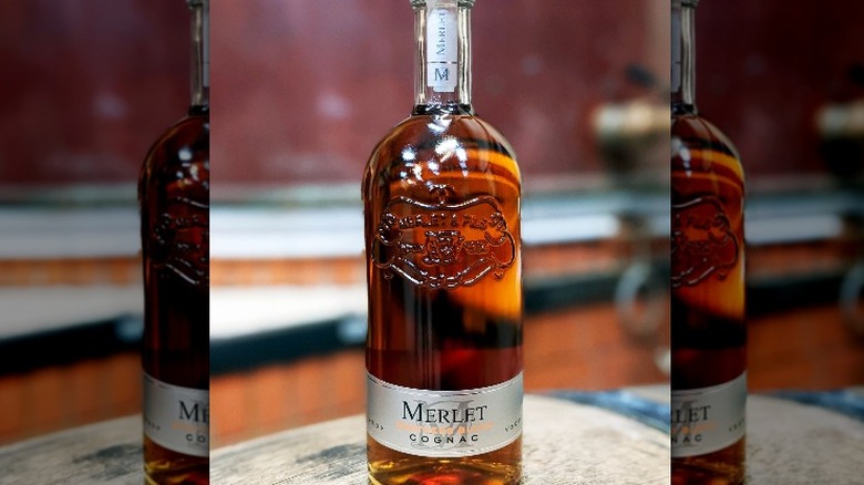 18 Best Cognac Brands, Ranked