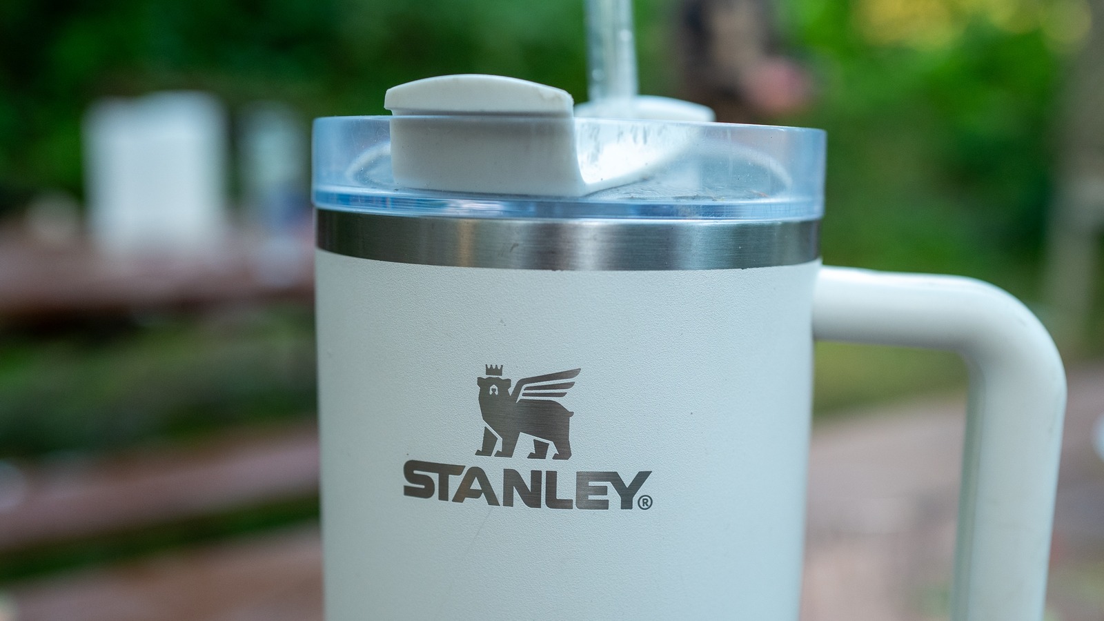 This Stanley Tumbler Hack Keeps Ice Cream And Popsicles Frozen Solid
