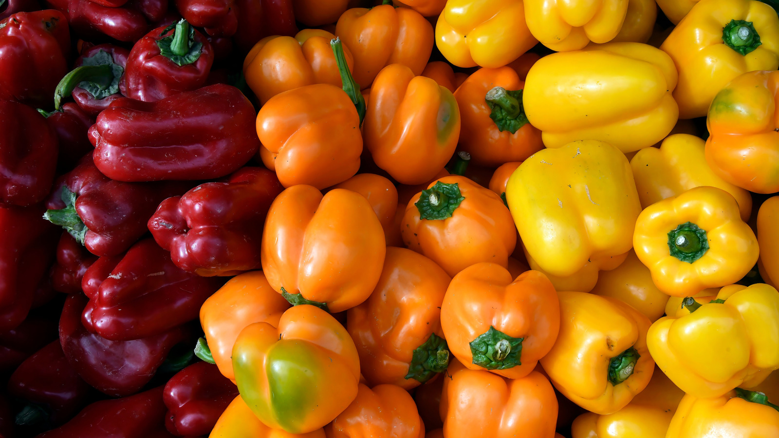 Which Bell Pepper Color Has The Most Nutrients?