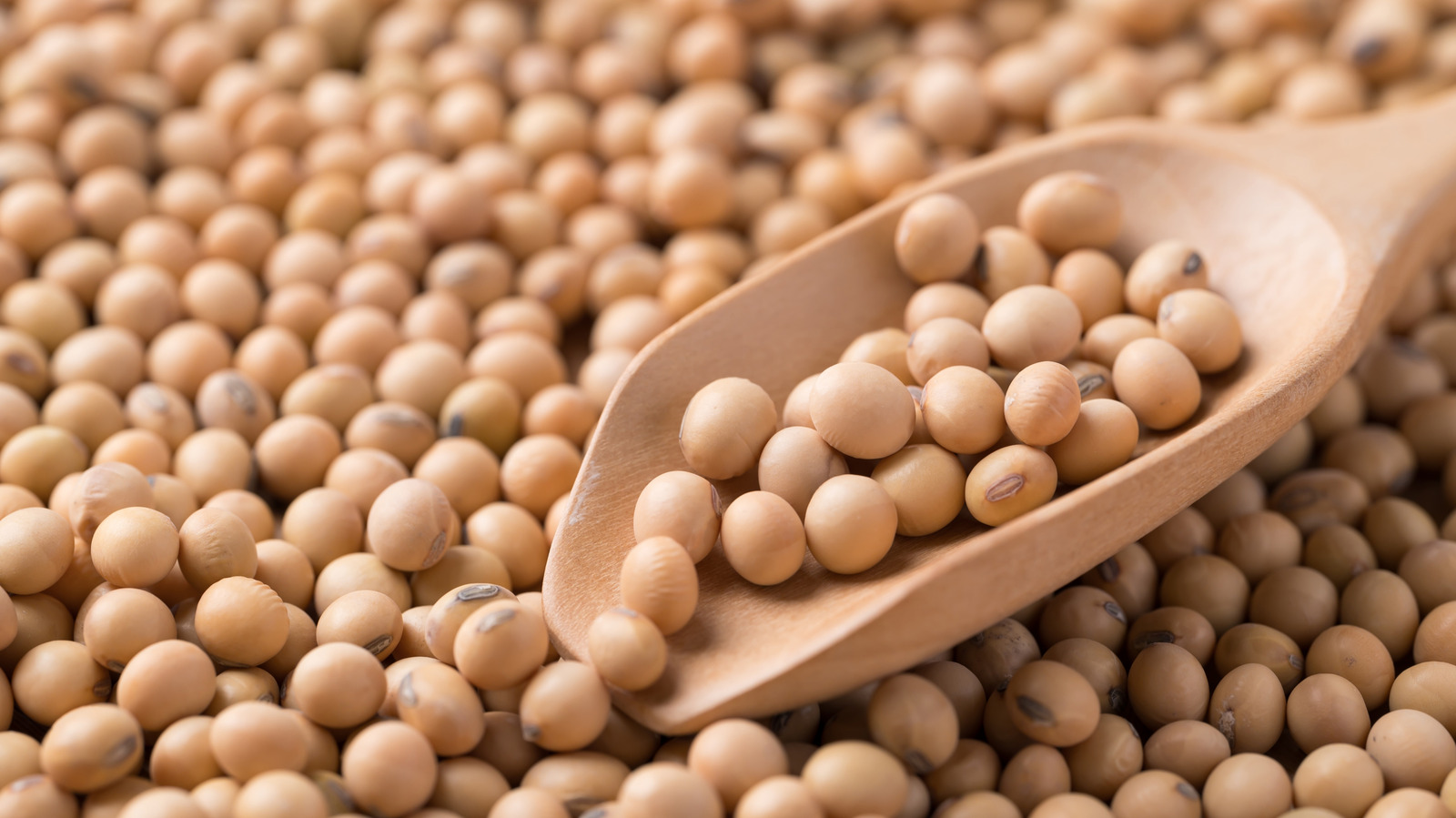 This Legume Isn't Just Nutritious, It's A Global Wartime Staple
