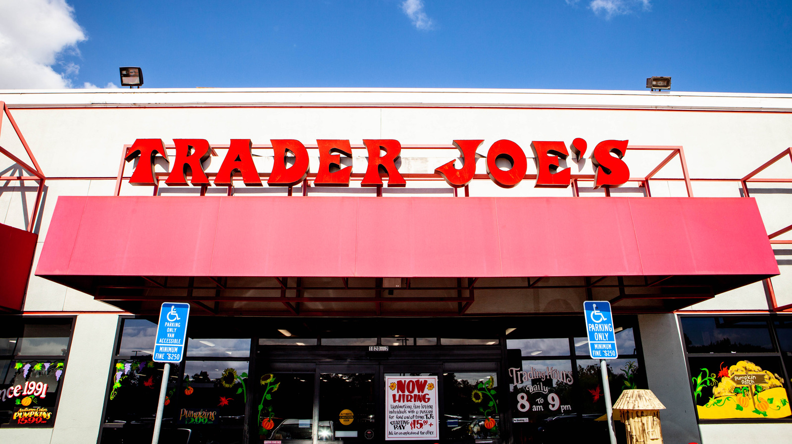 Trader Joe's Quietly Discontinued Fan-Favorite Minty Mallows This Year