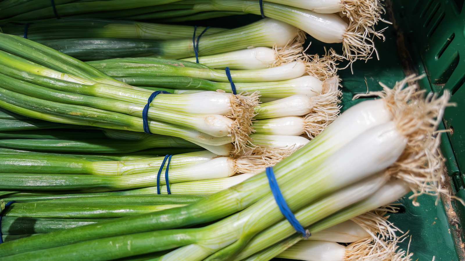 Trader Joe's Recall: Throw Out Your Green Onions In These Affected States