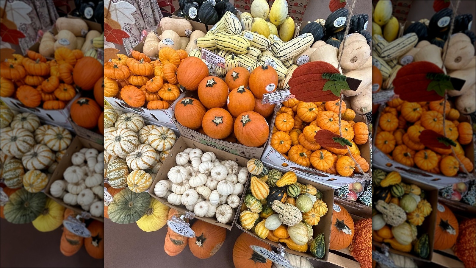 Trader Joe's Winter Squash Is One Of The Best Holiday Cooking Bargains