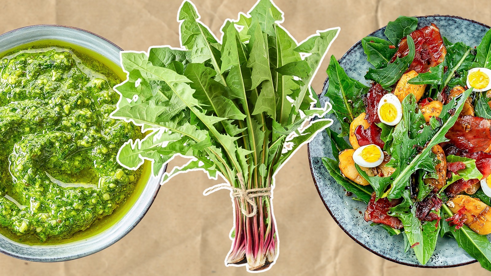 Culinary Experts Explain How To Eat Dandelion Greens