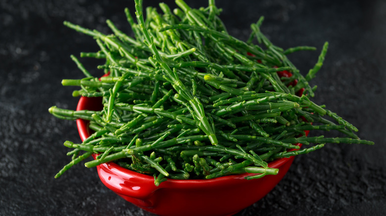 What Are Sea Beans And How Do You Eat Them?