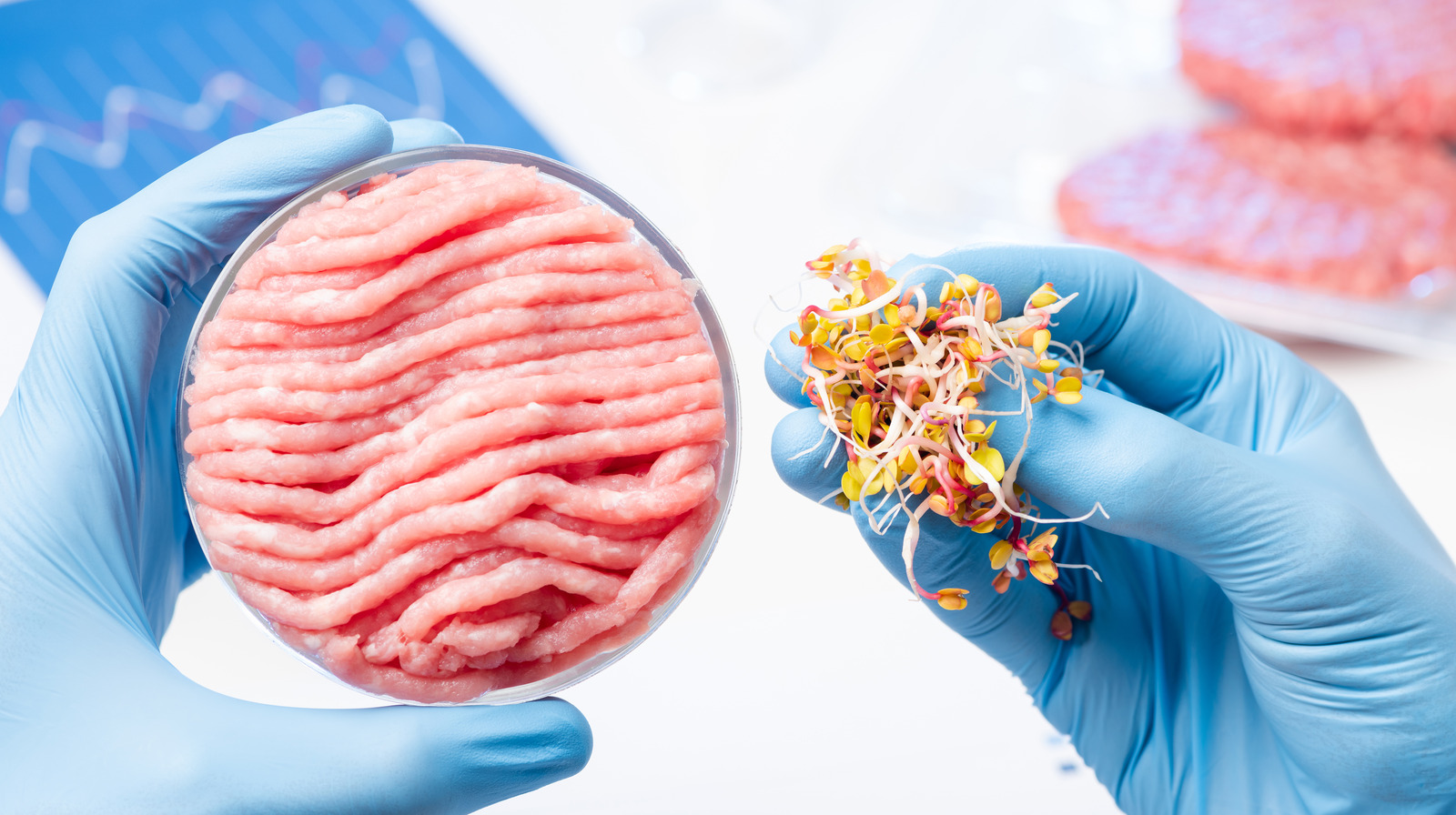 What Is Hybrid Meat And How Does It Differ From Plant-Based Varieties?