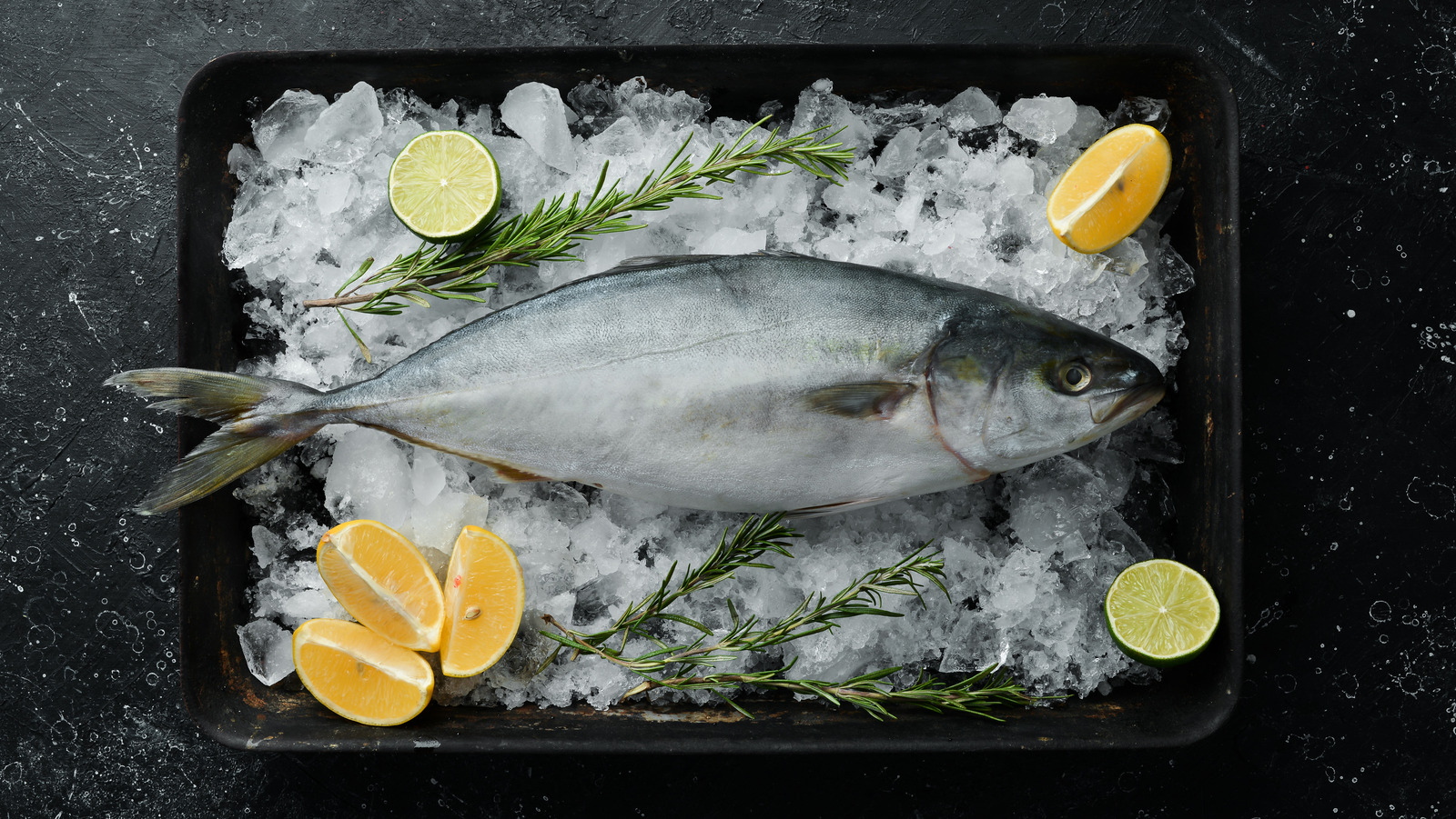 What Is Troll-Caught Tuna And Is It Sustainable?