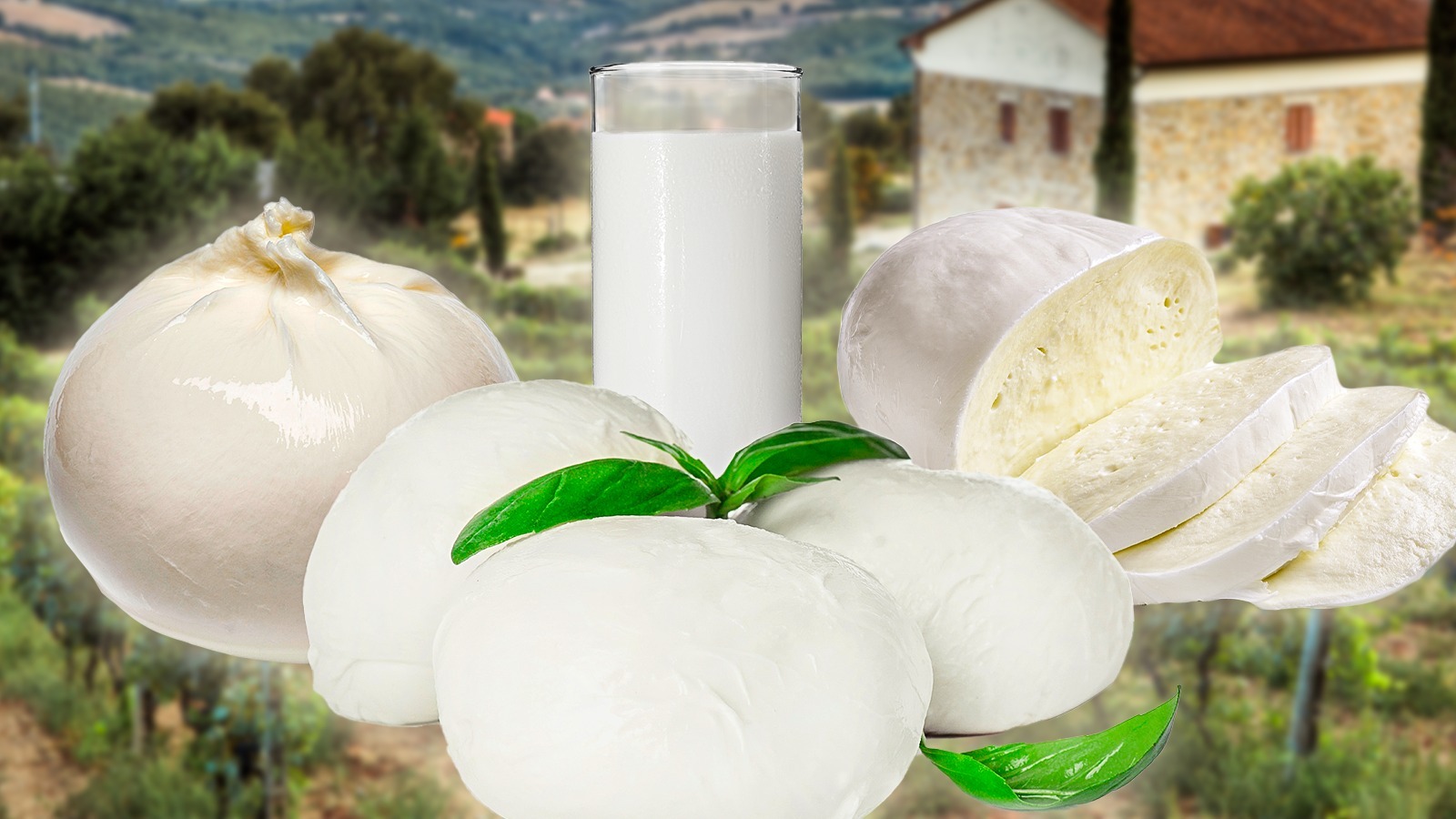 Fresh Mozzarella And The Best Ways To Enjoy It Differ From Other Varieties
