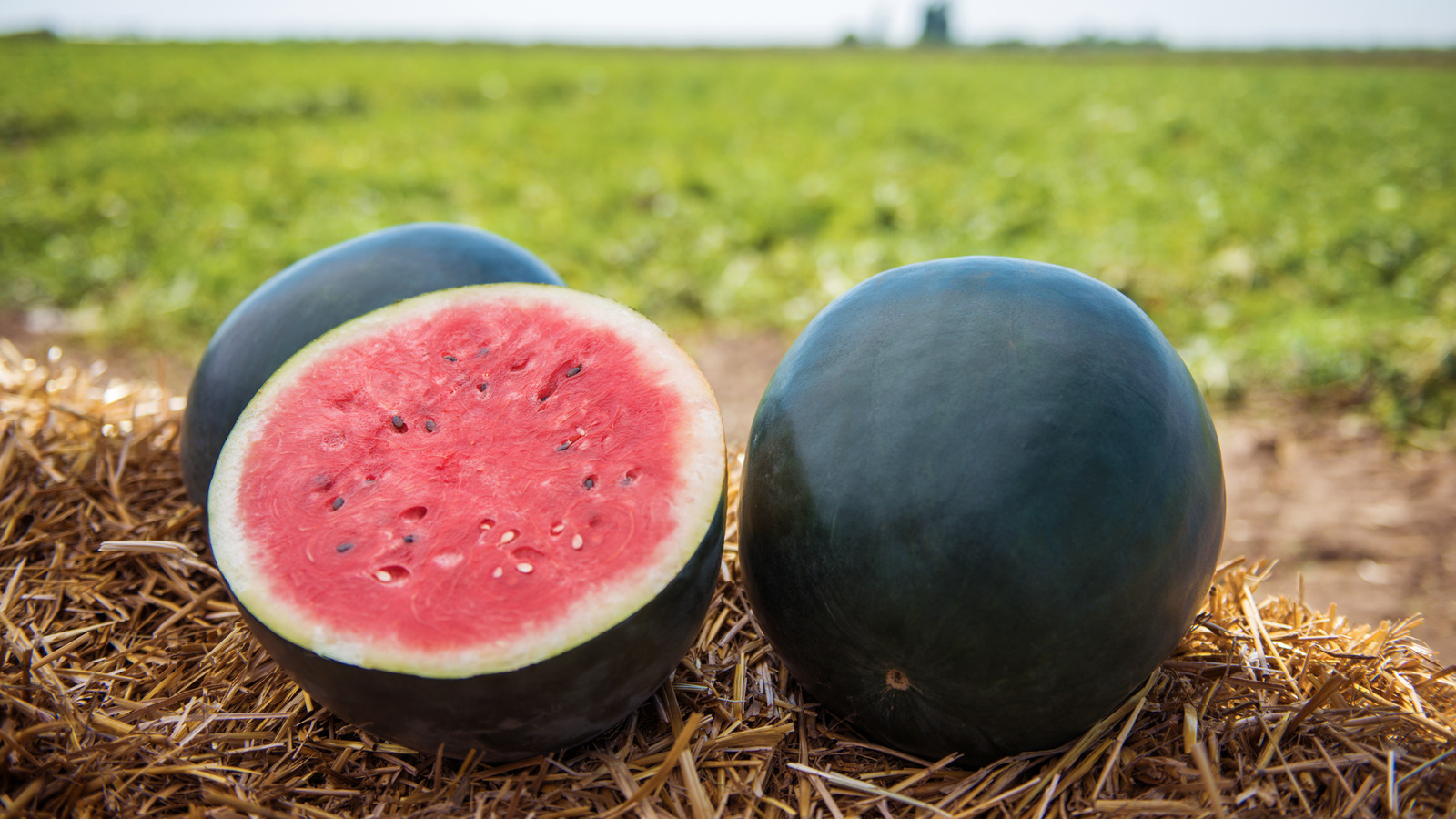 What Sets Black Diamond Watermelons Apart From The Rest
