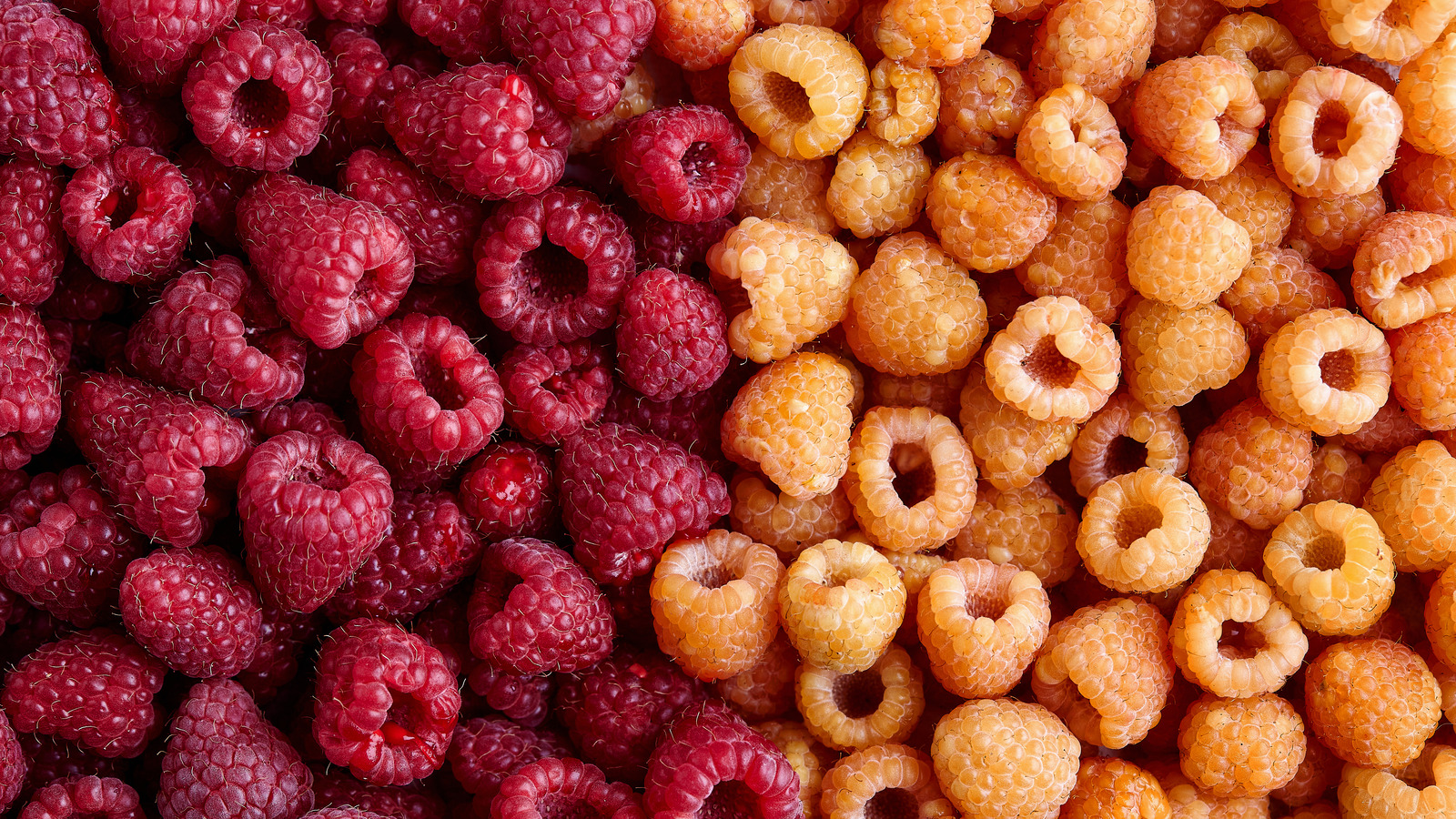 Do White And Golden Raspberries Taste The Same As The Regular Kind?