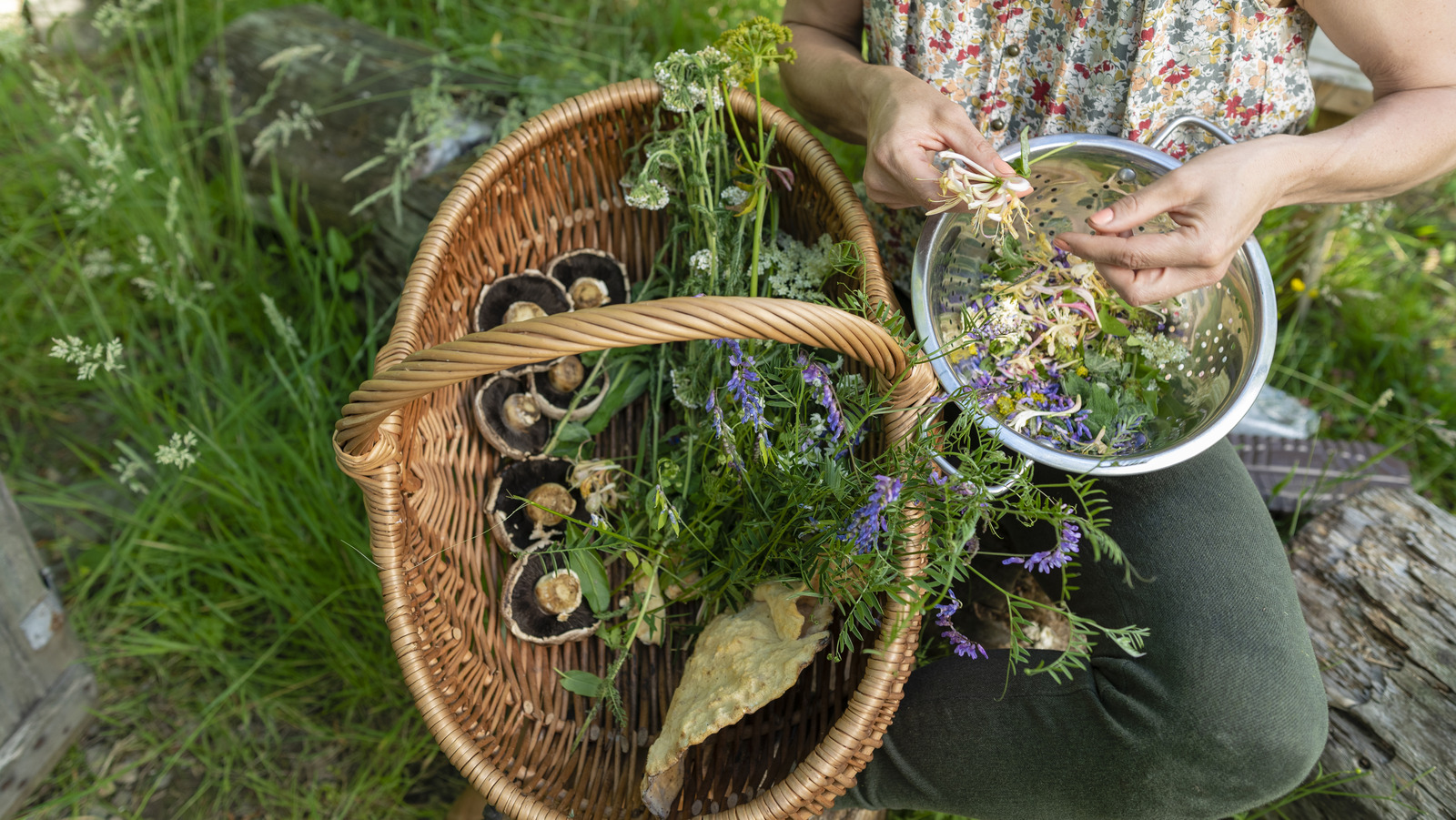 What To Know About Cleaning Foraged Produce Vs. Store-Bought