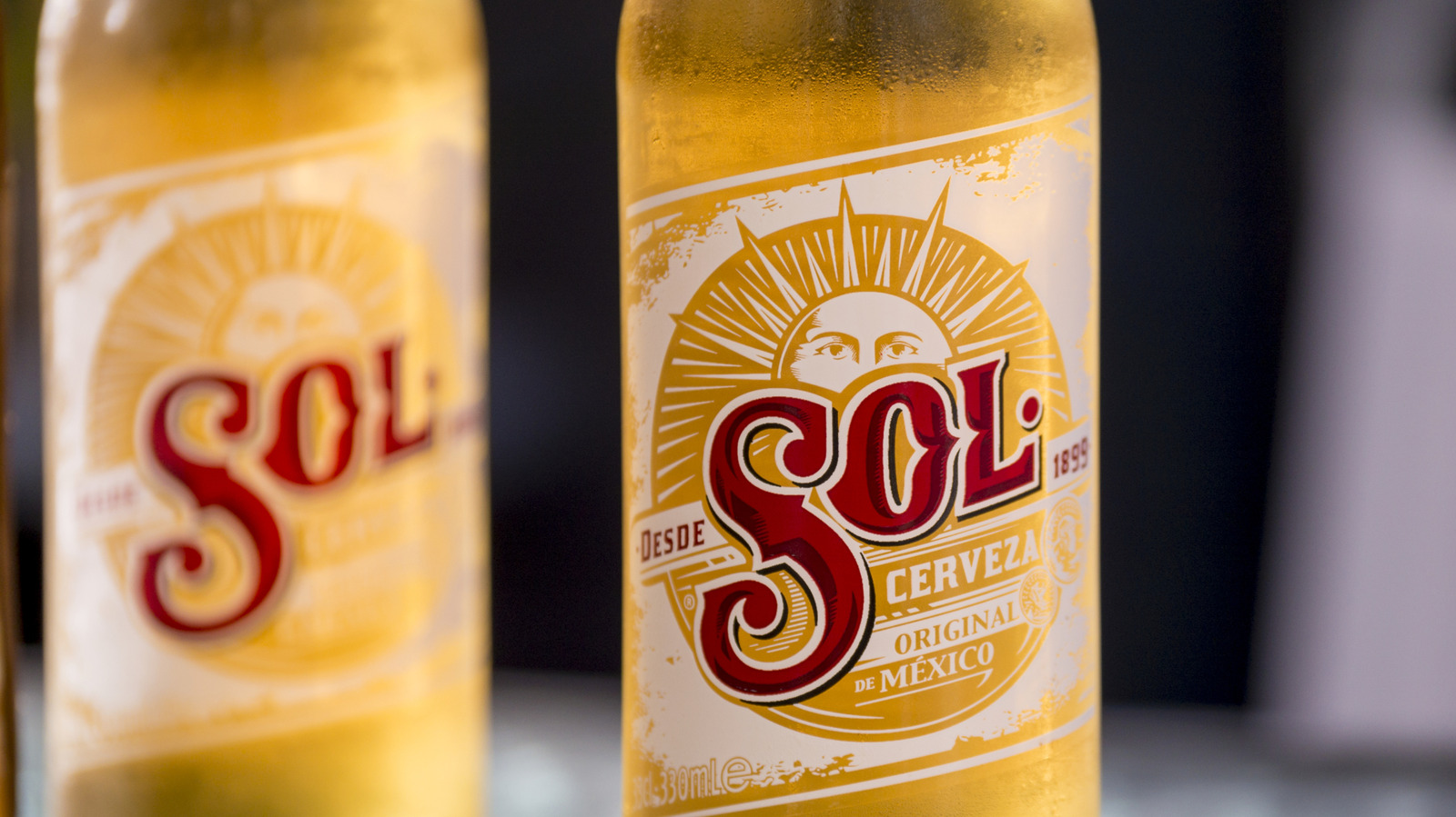 Sol Cerveza: What Type Of Beer Is It?