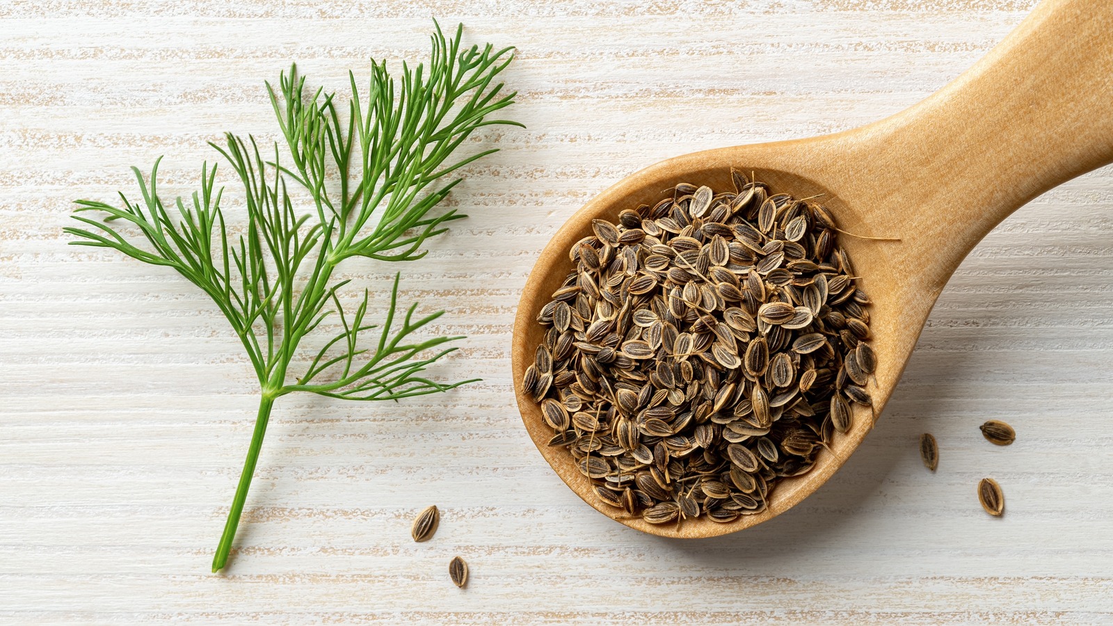 When It s Best To Cook With Dill Weed Vs Seeds When It s Best To Cook With Dill Weed Vs Seeds
