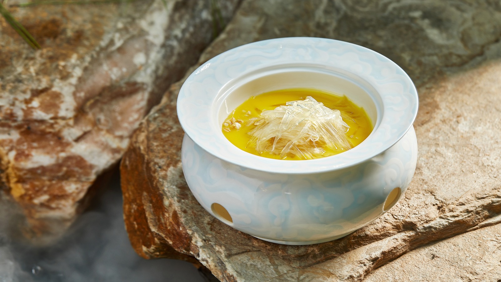 Bird's Nest Soup Is So Expensive Because Of Its Namesake Ingredient