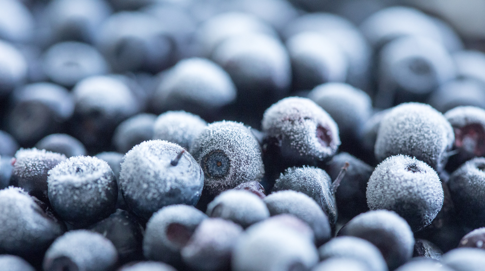 Why Frozen Blueberries Are More Colorful Than Fresh Ones