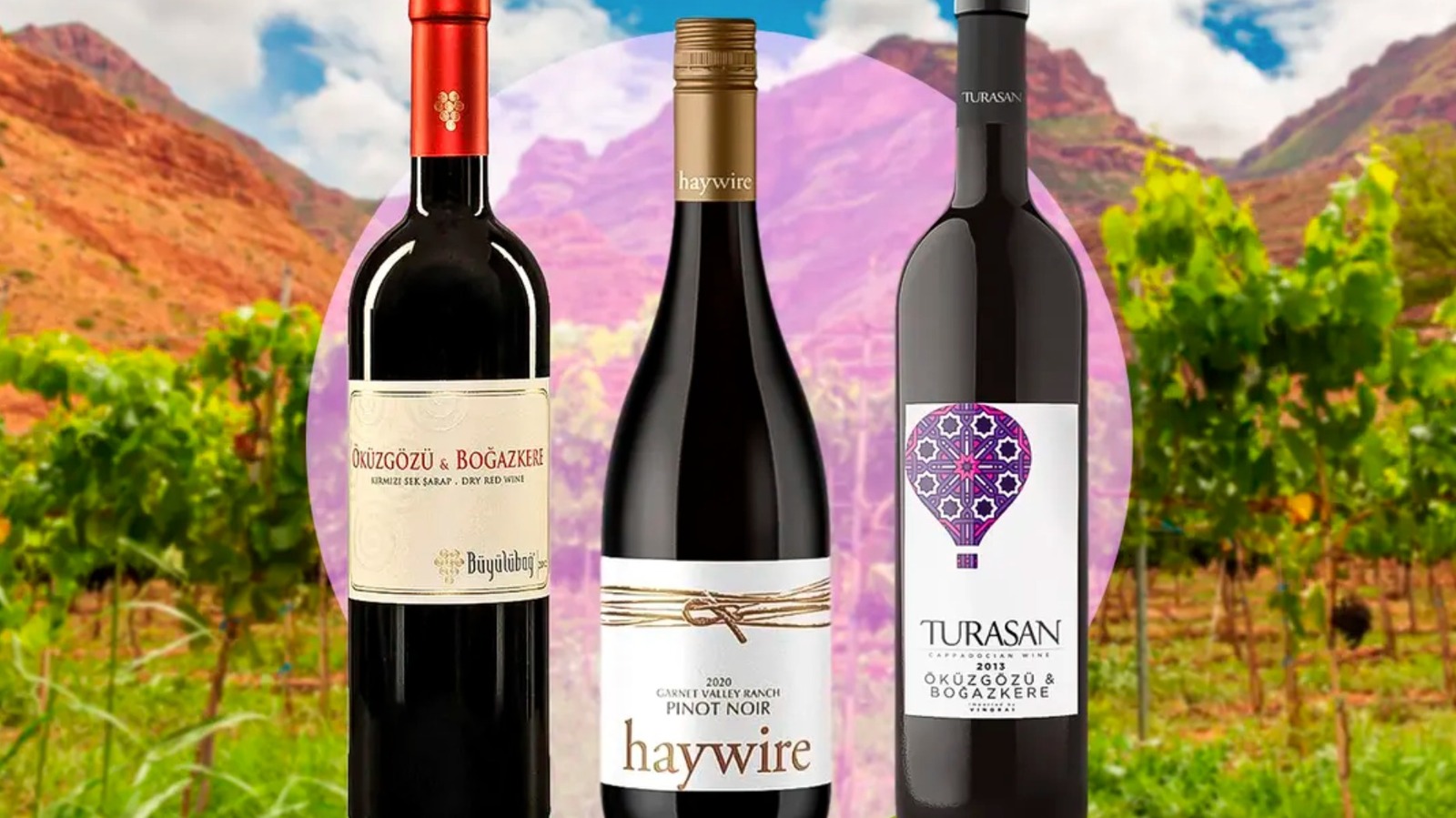 Why High Altitude Wine Tastes So Different Compared To Standard Wine