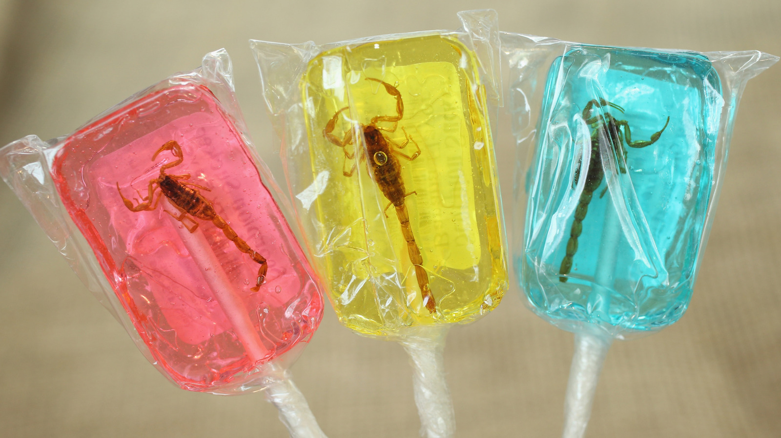 Why Is It Safe To Eat Scorpion Lollipops?