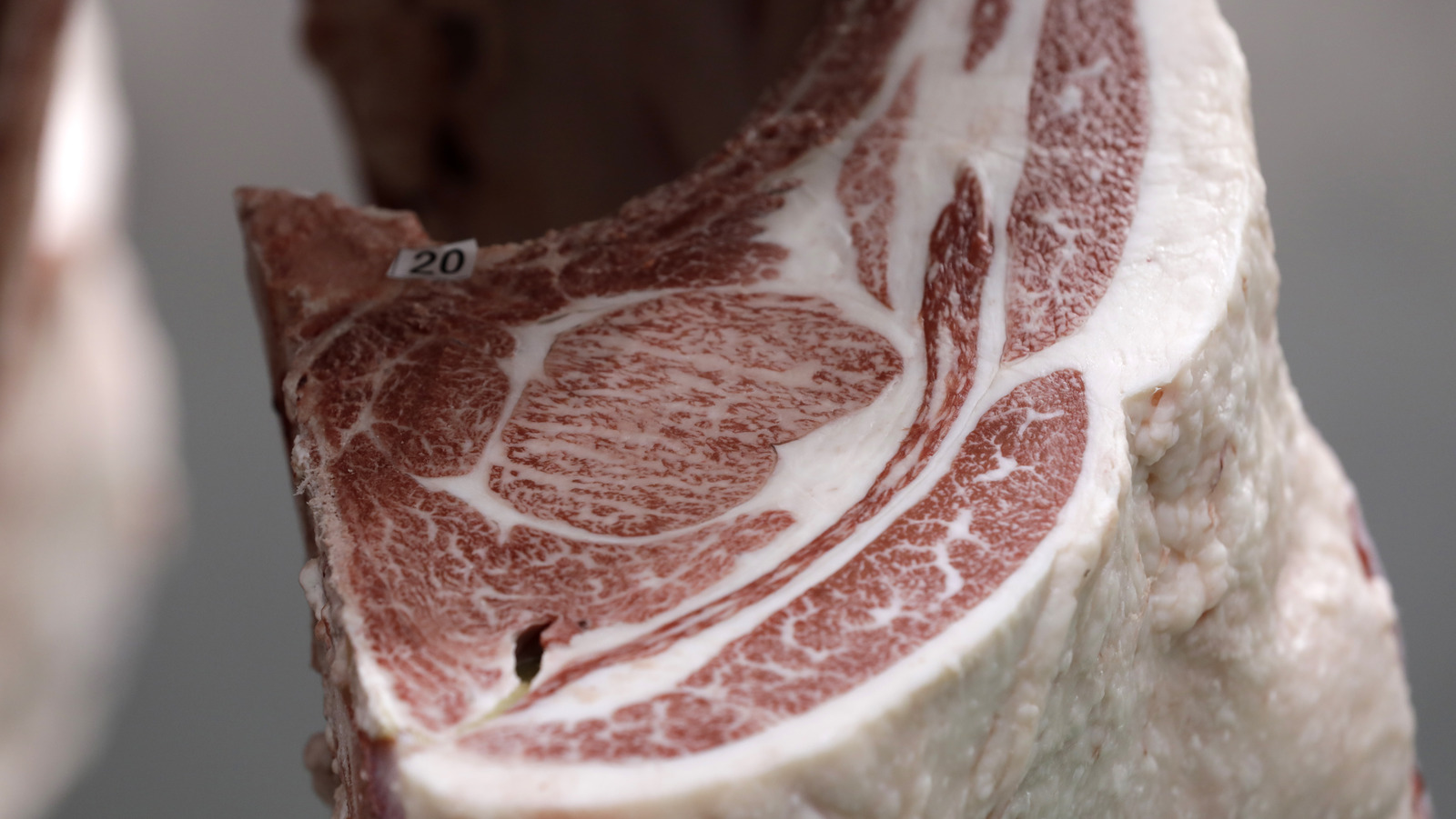Why Is Wagyu Beef So Expensive And Is It Worth The Price?