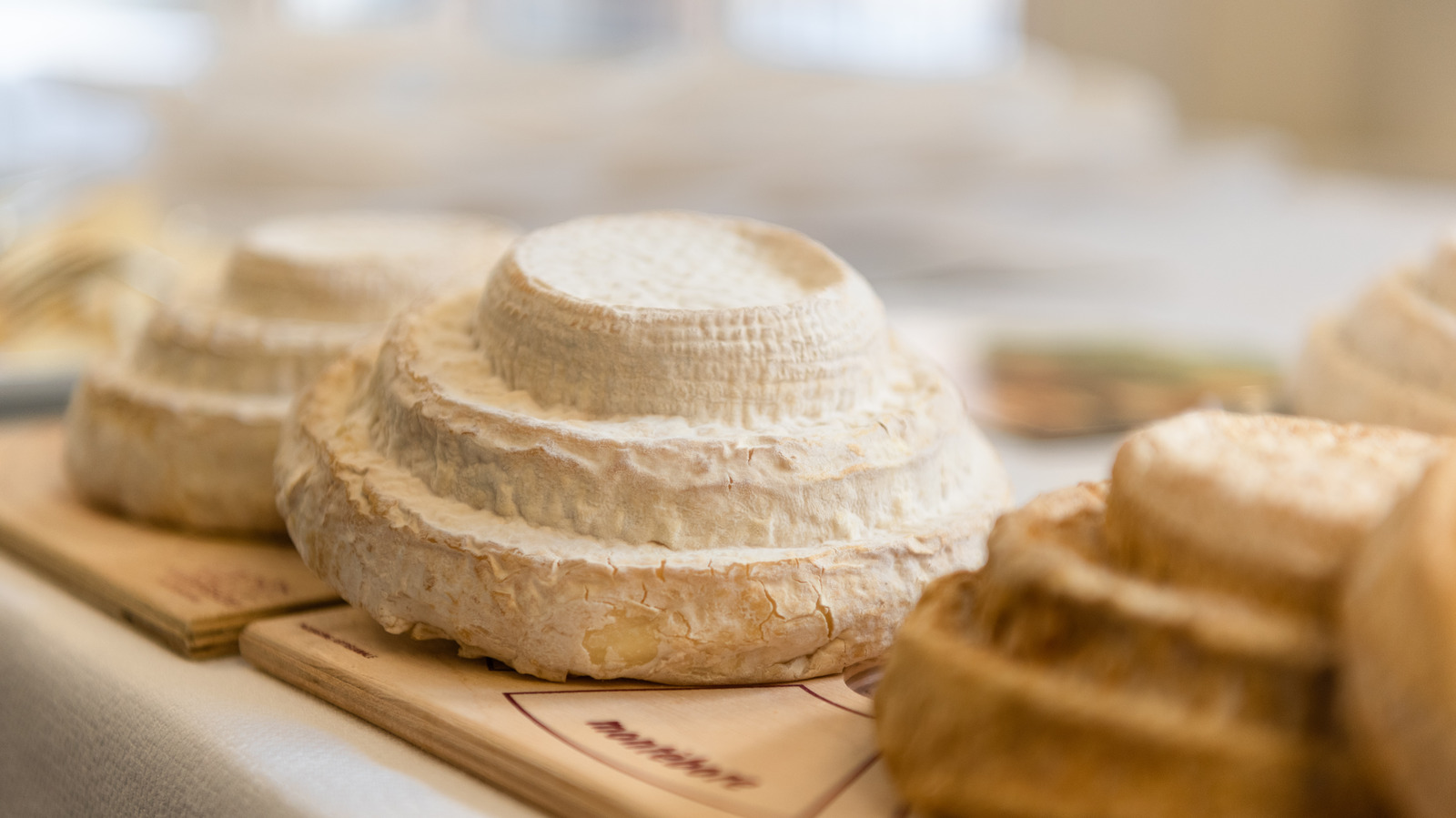 Why Montébore Cheese Nearly Went Extinct