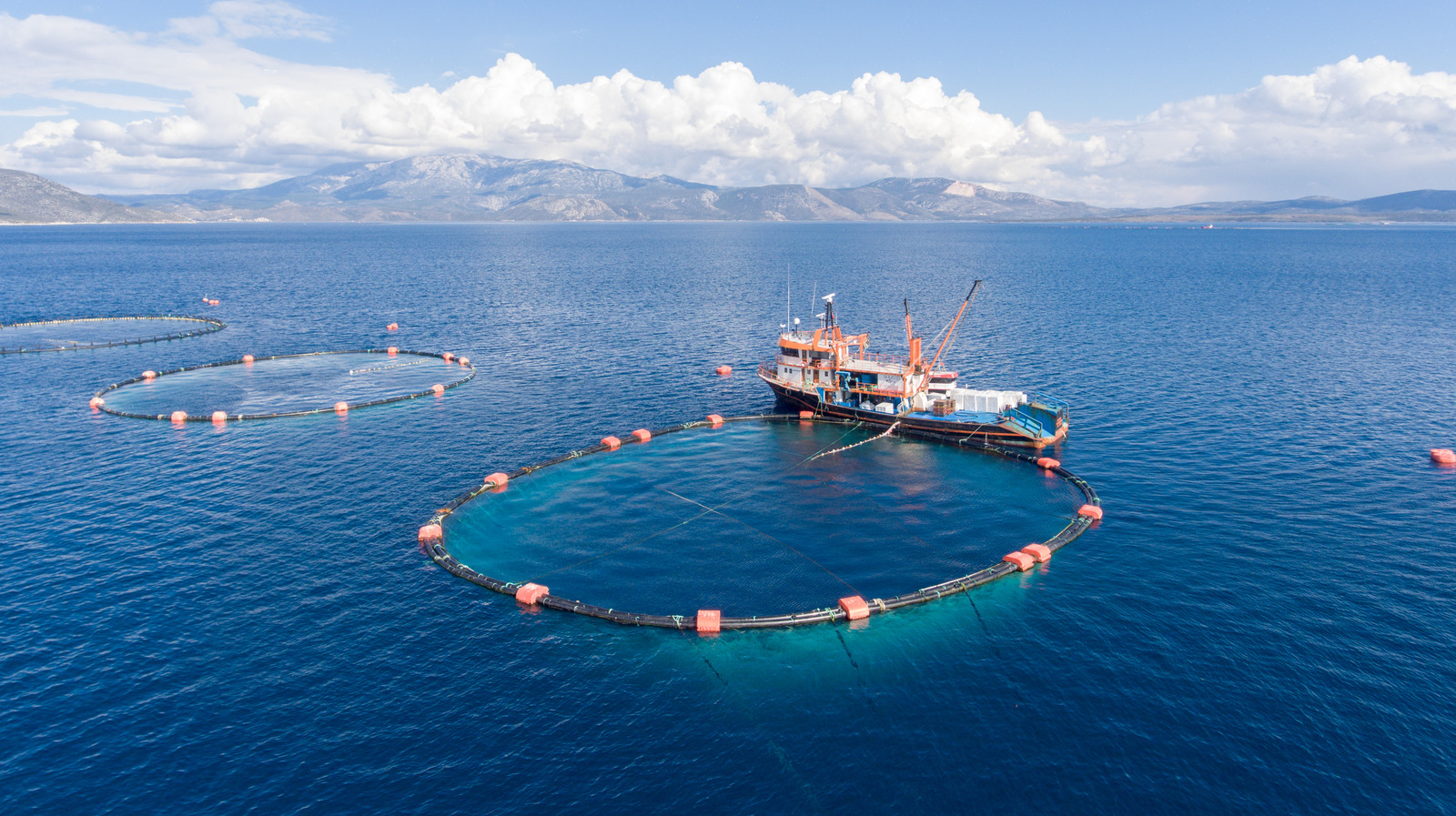 Why The Aquaculture Industry Is Being So Heavily Funded