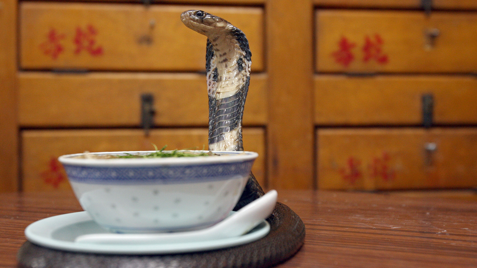 Why The Once-Popular Snake Soup Is Slowly Disappearing From Menus In China