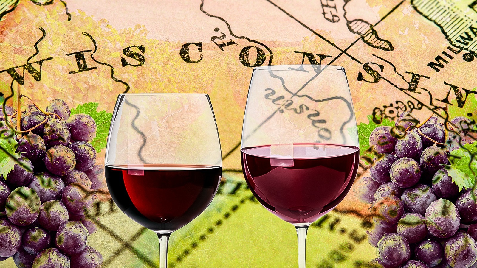 Why Wisconsin Is Becoming The Next Hot Spot For Wine