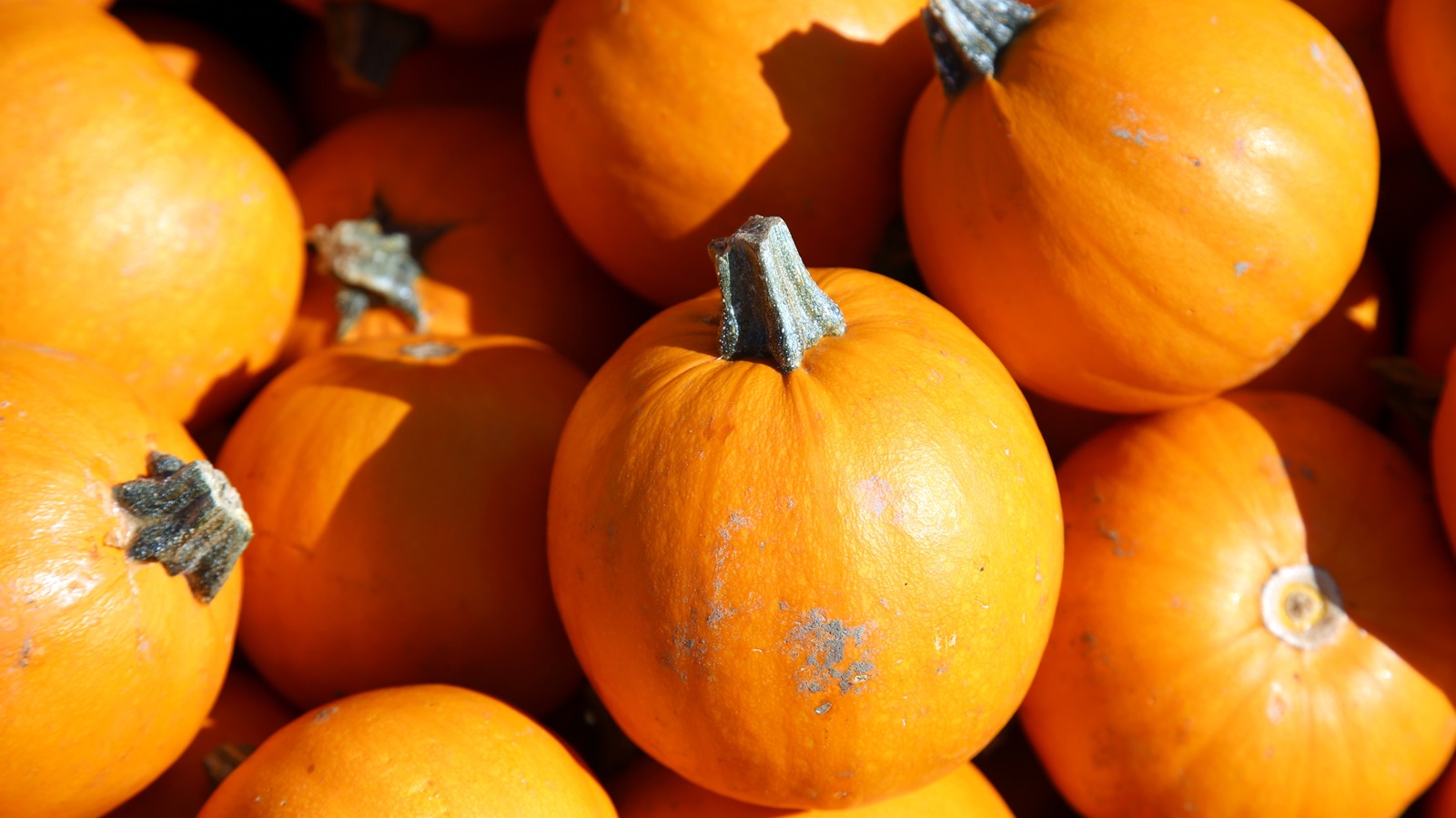Why You Should Avoid Soft Pumpkin Varieties For Soup