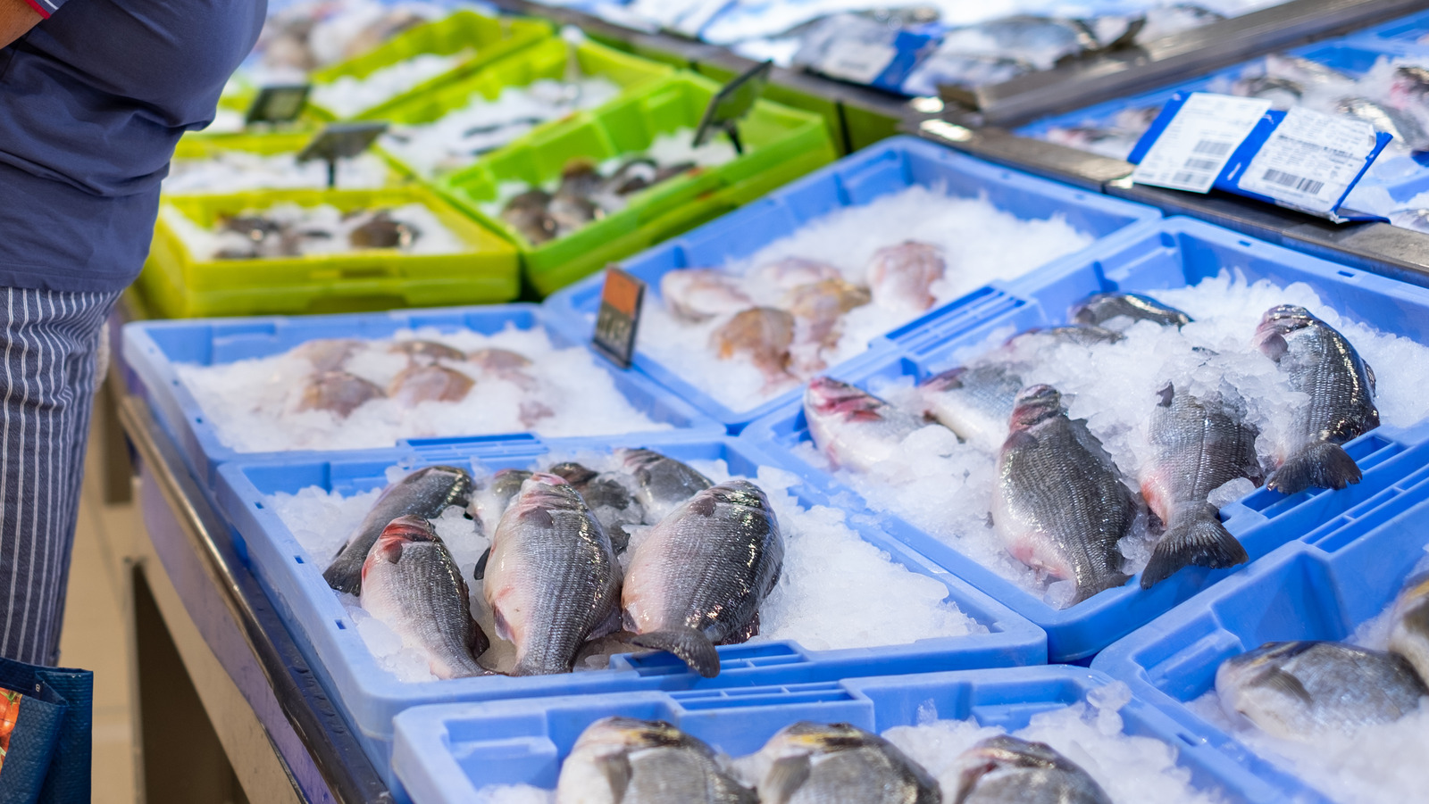 Why You Should Pay Attention To The Ice Display When Buying Fresh Fish