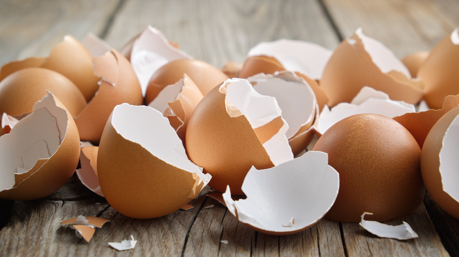 Why You Should Stop Throwing Out Eggshells