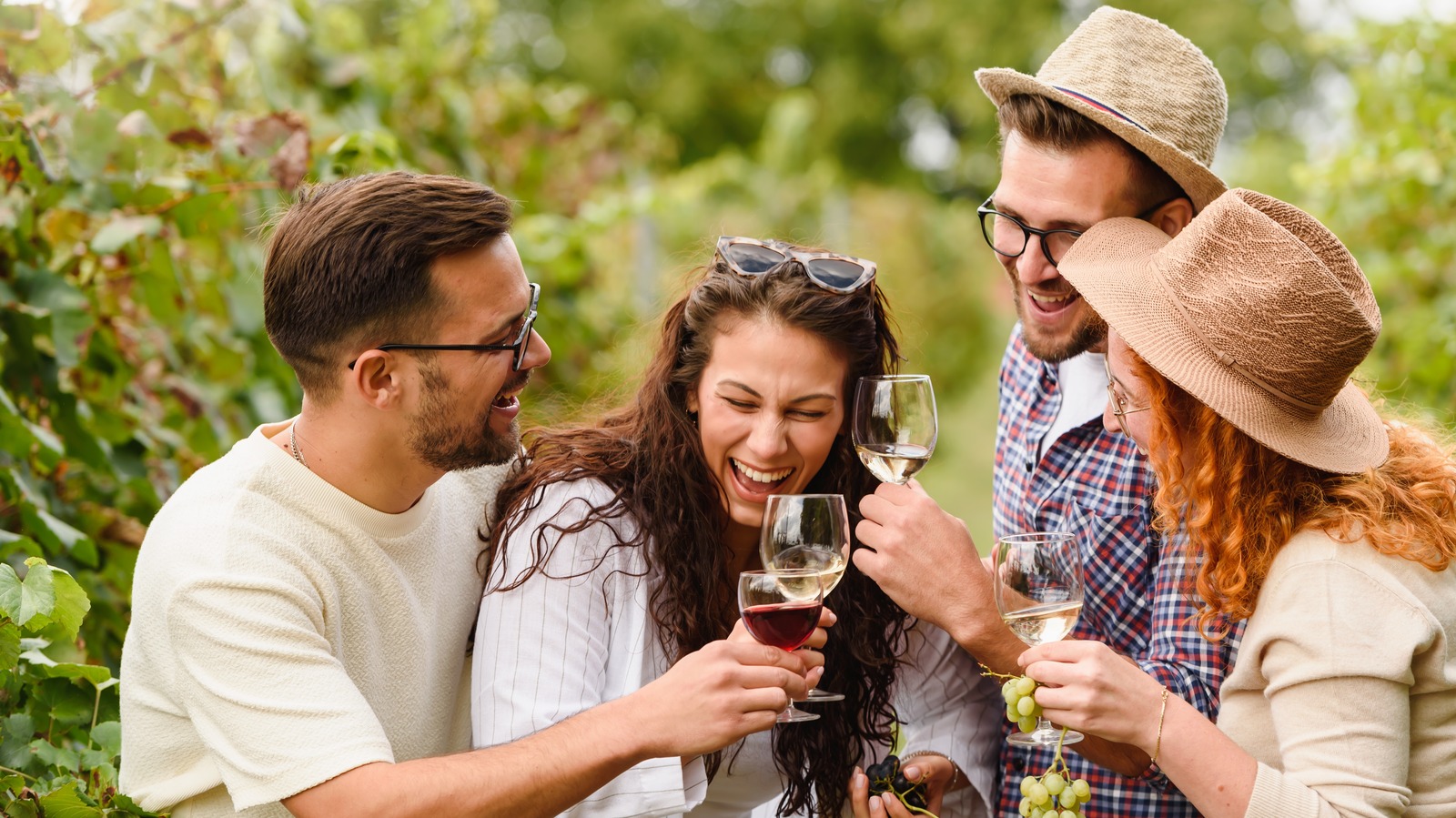 Wine Fans Tell Tasting Table Which Brand They Think Is The Best ...