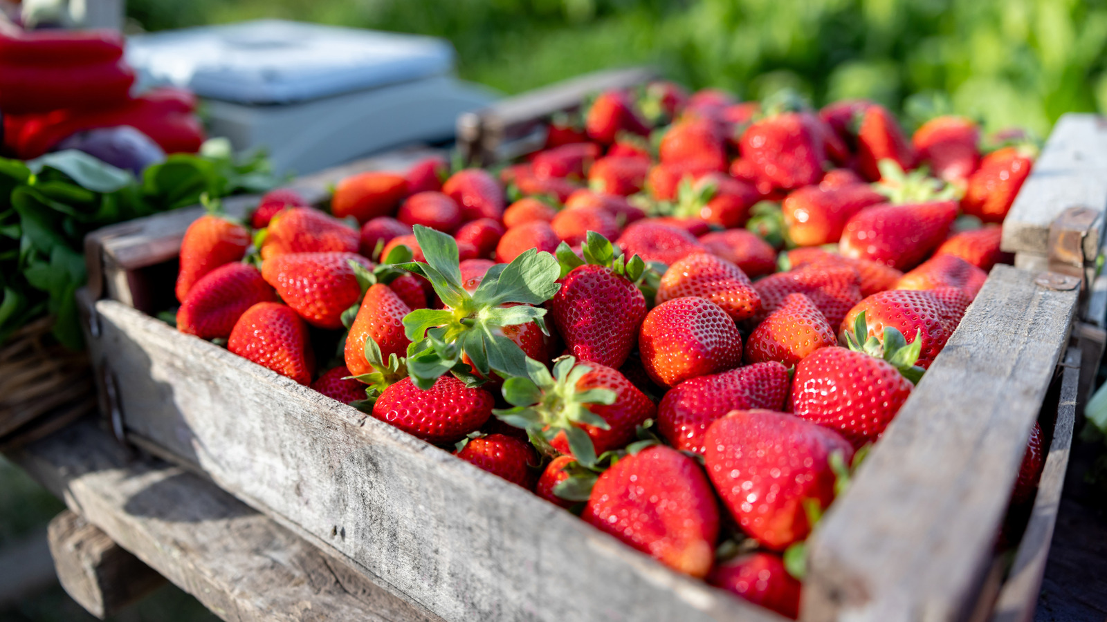 Your Common, Everyday Strawberries Aren't As Simple As They Seem
