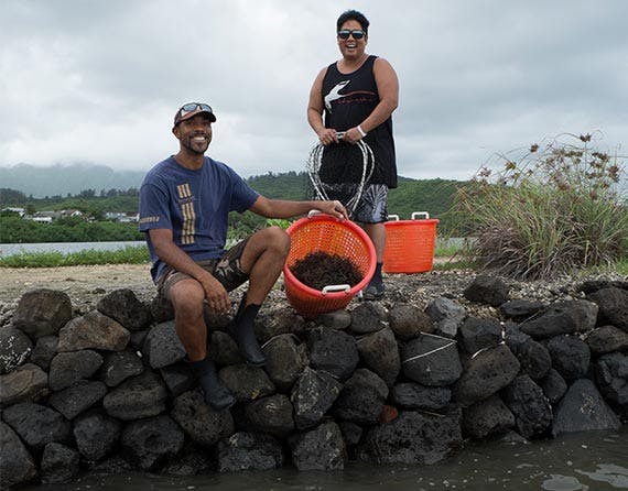 Pili Group Chef Mark Noguchi Shares A Recipe For Haupia