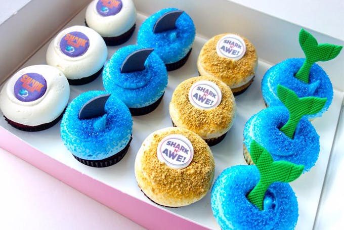 The Best Shark Week-Themed Food And Drink