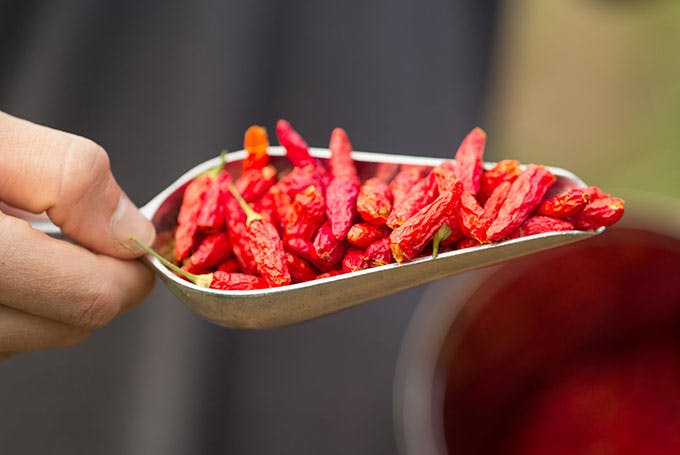 An Ode To Hawaii Chili Pepper Water