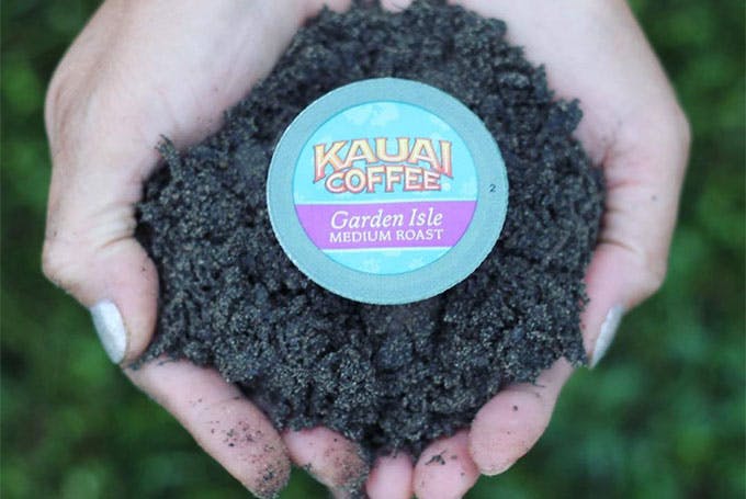 Best Hawaiian Coffee Brands