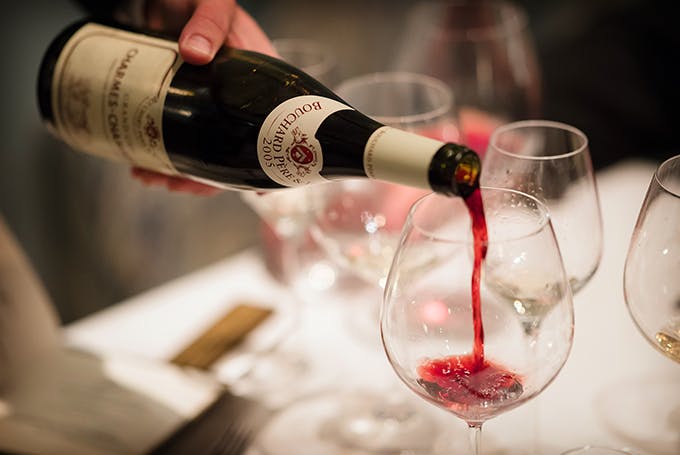 The Most Expensive Dinner Ever