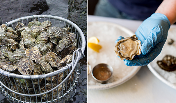 Where To Buy The Best Shellfish