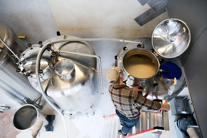 All-Wise Mead From Dylan Sprouse