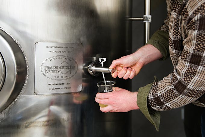 All-Wise Mead From Dylan Sprouse